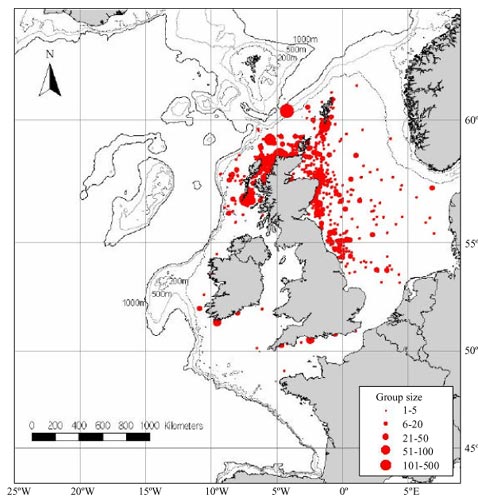 Sea Watch Foundation » How Sightings are Used