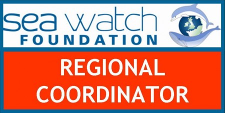 Sea Watch Foundation » New recruits for the Sightings Network
