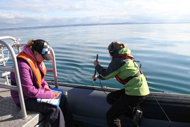 Sea Watch Foundation » Anna_1442