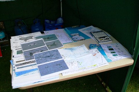 Sea Watch Foundation » Orca_watch_2013_Colin_bird_1