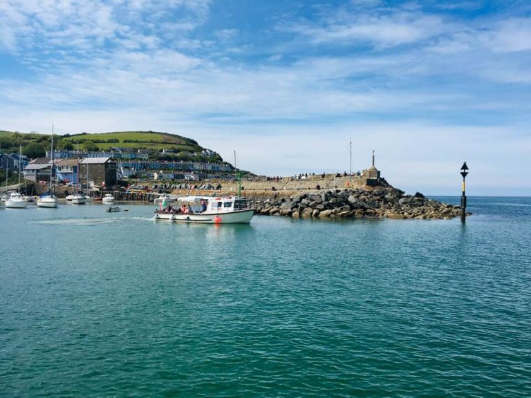 Sea Watch Foundation » Cardigan Bay Monitoring Project