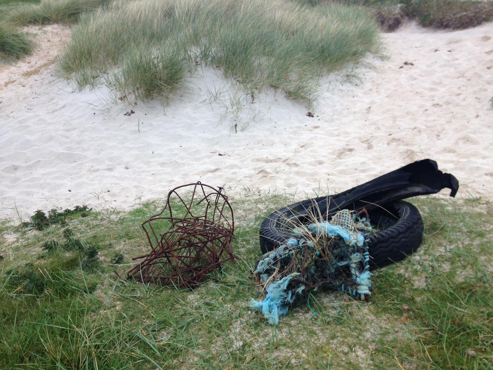 Sea Watch Foundation » Cleaning up our Environment