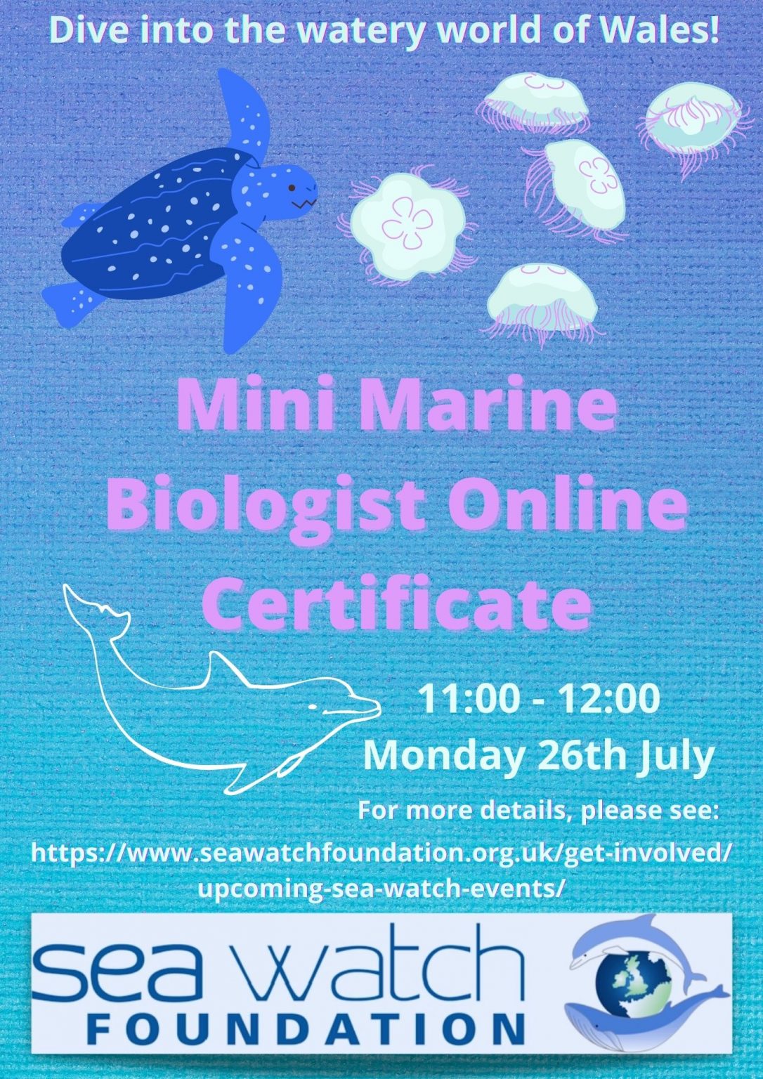 Sea Watch Foundation » Mini Marine Biologist