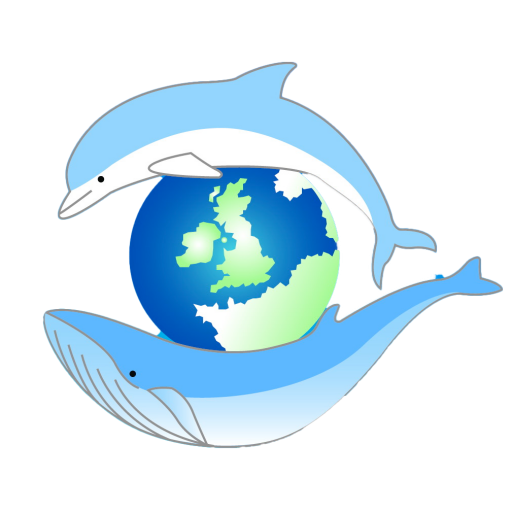 Sea Watch Foundation » Orca Watch 2025 Volunteer Scheme