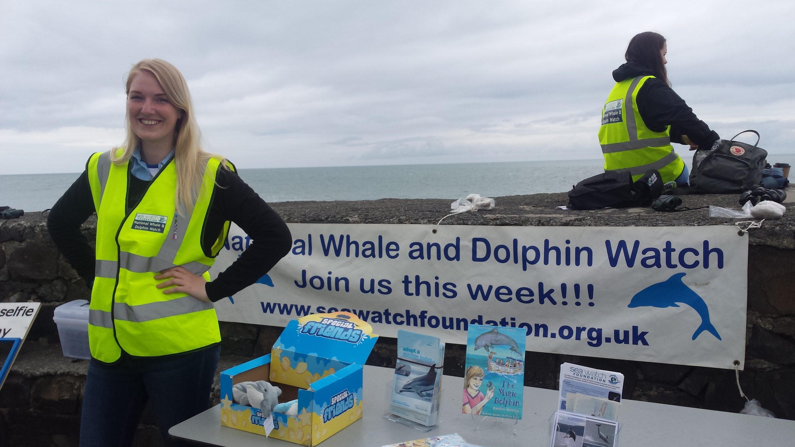 Sea Watch Foundation » NWDW New Quay Events
