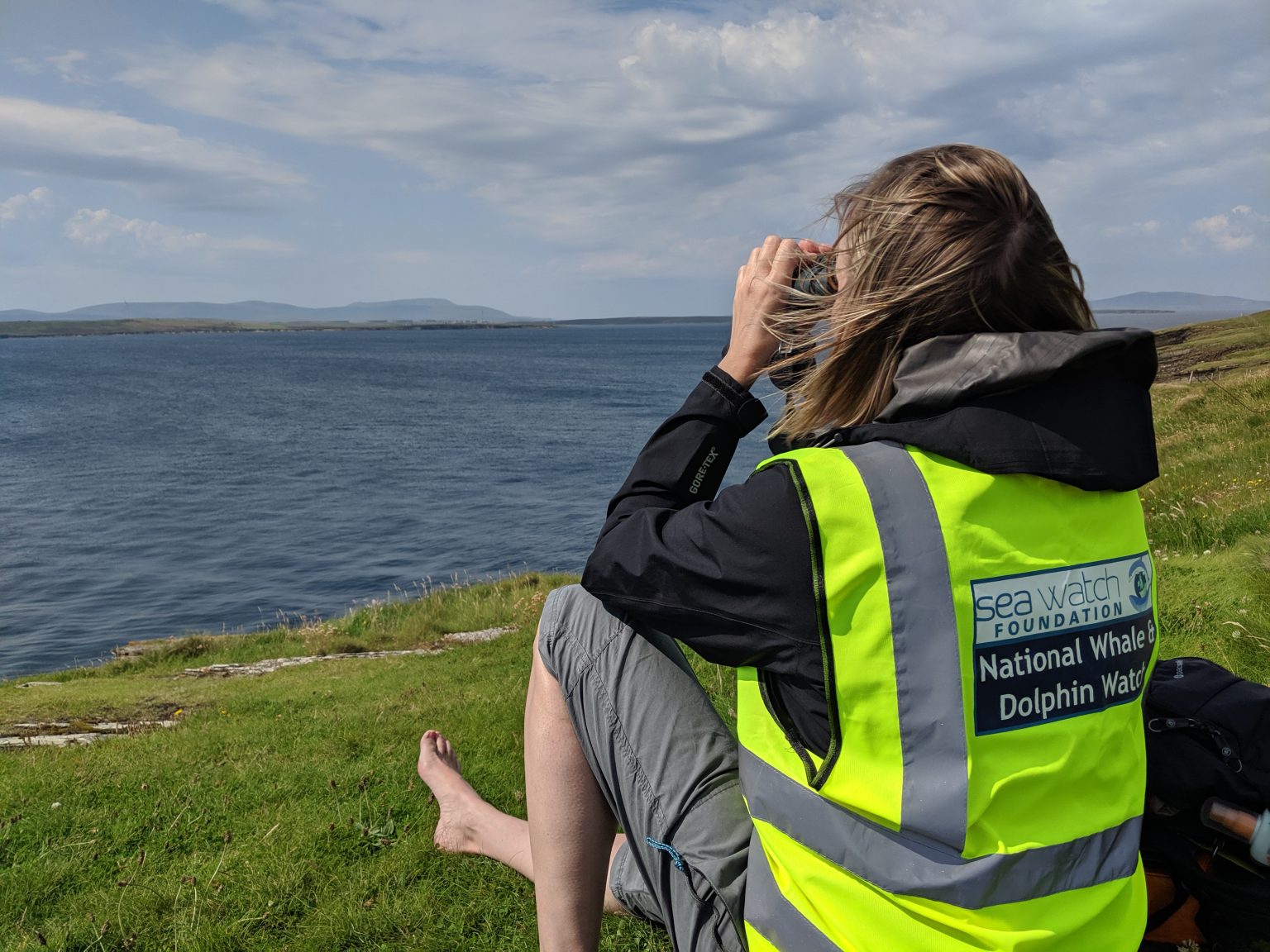 National Whale and Dolphin Watch – Sea Watch Foundation