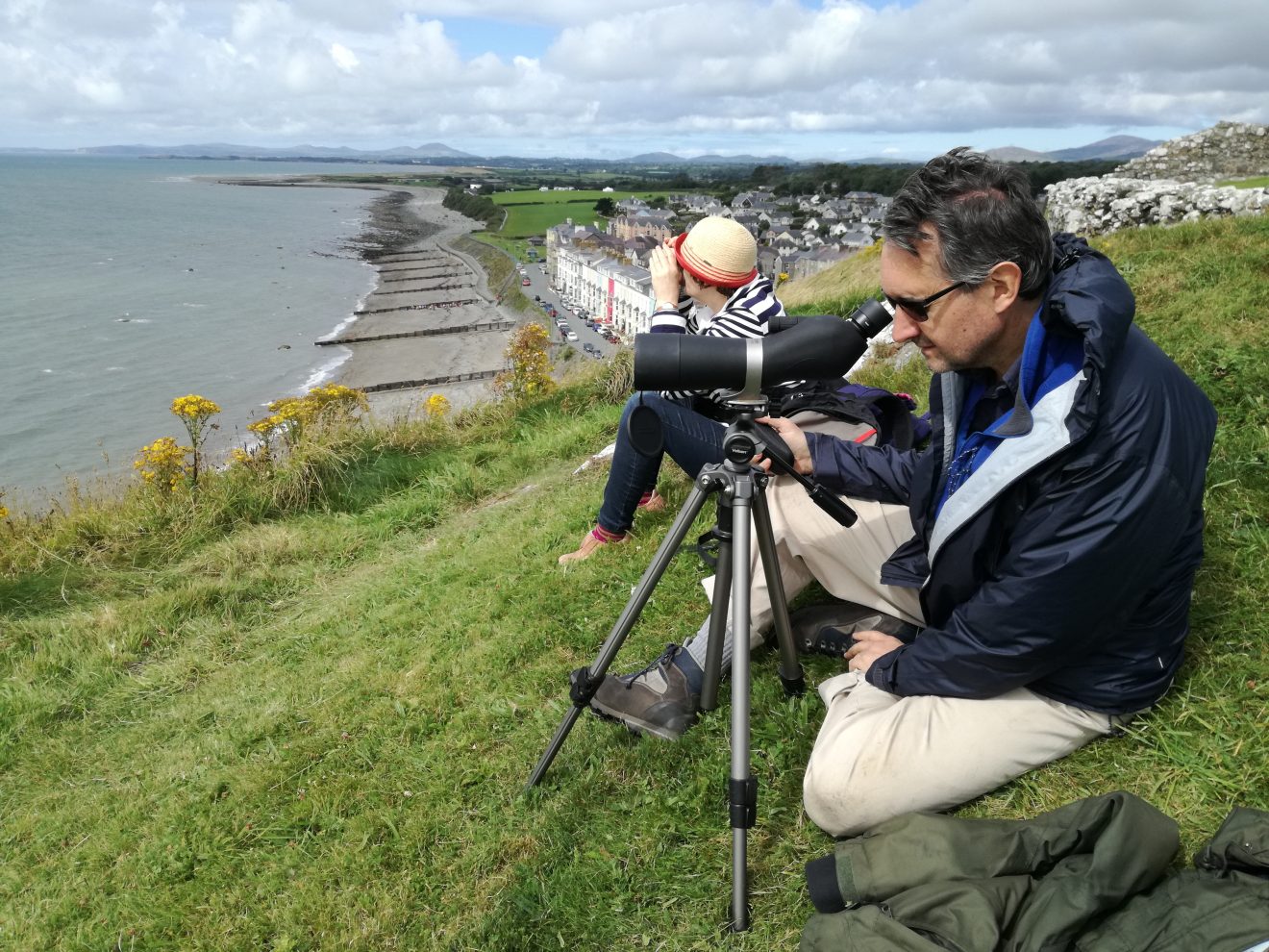Sightings Network – Sea Watch Foundation