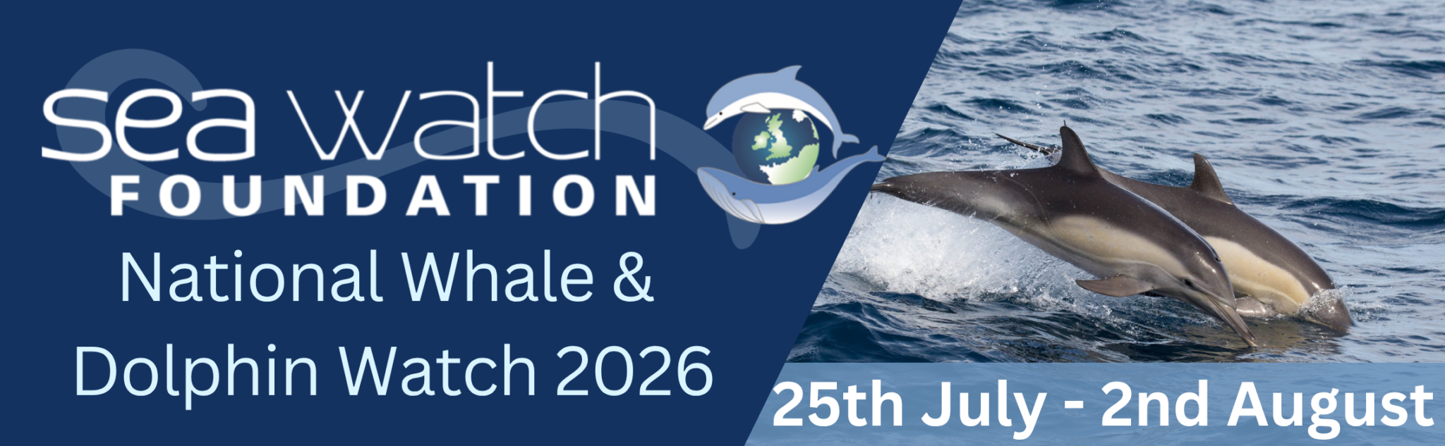 Sea Watch Foundation – Improving the conservation of cetaceans in UK waters